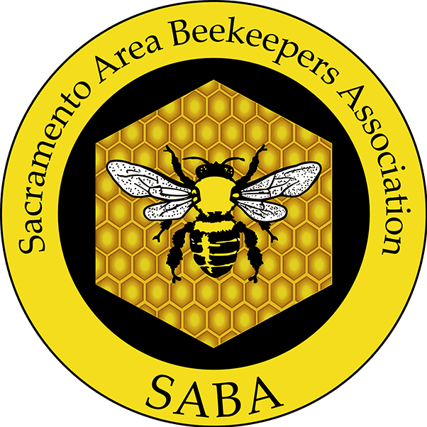 About Swarmed | Bee-Friendly Swarm Removal Network
